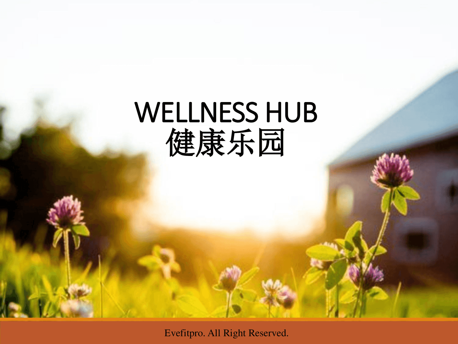 Wellness Hub